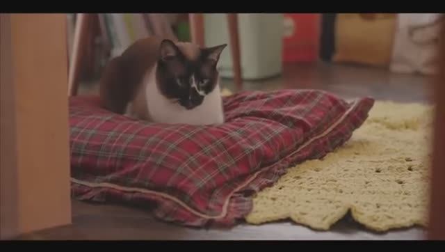 Choki. Что мне делать в дождливый день What_Should_I_Do_On_A_Rainy_Daу