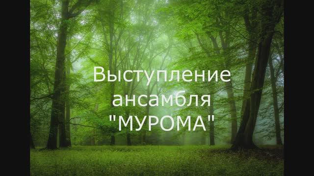 Выступление ансамбля "Мурома"
