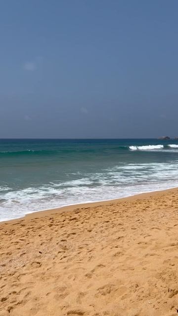 Поездка нашей дружной команды в Хиккадуву, Шри-Ланка. Март 2025 года. Видео 3