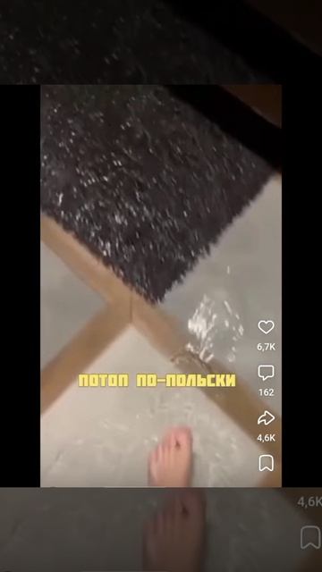 Кот устроил этому поляку потоп и он обиделся