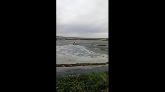 Плавающий понтон - аэратор Биокомплекс в работе