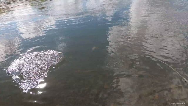 Осенний сплав по реке Уссури в компании друзей (1 часть)