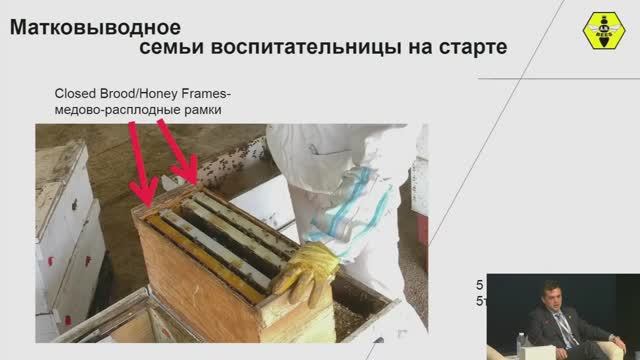 Сергей Алексеевич Стороженко - "Бизнес по выращиванию маток и маточников"