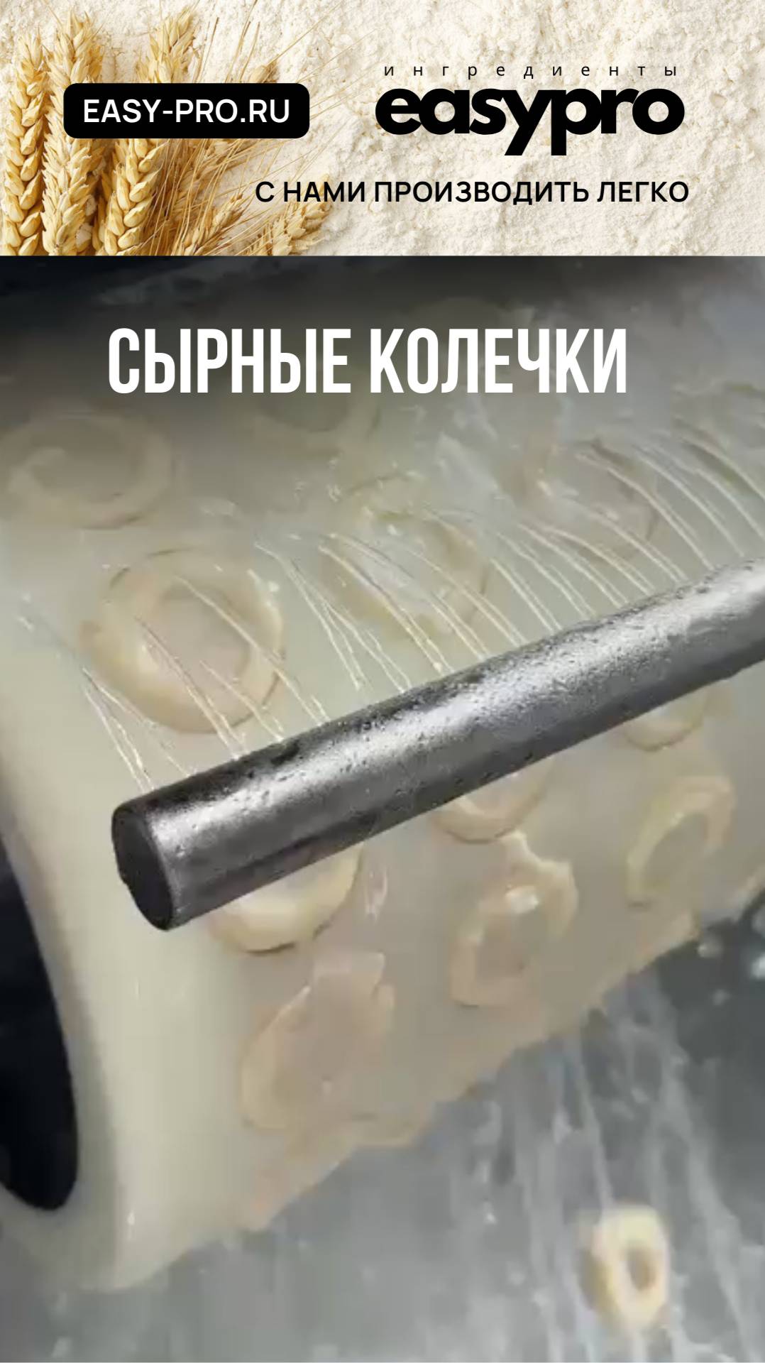 © EASYPRO - сырные колечки моцарелла.