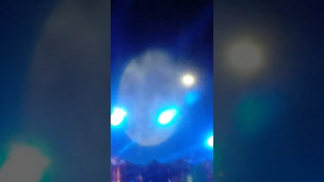 Music fontane fireworks show flower festival