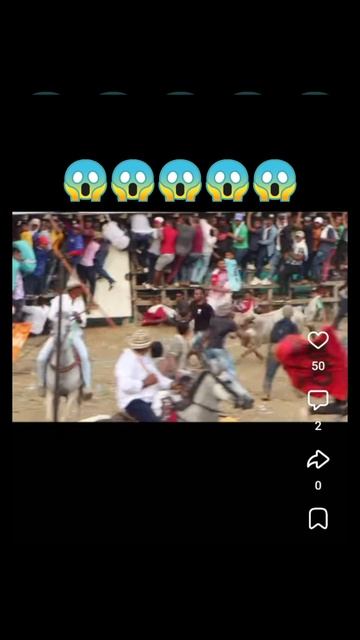 Странное у них развлечения 🤦♂️Видимо нравится на рогах сидеть 🤭🤣