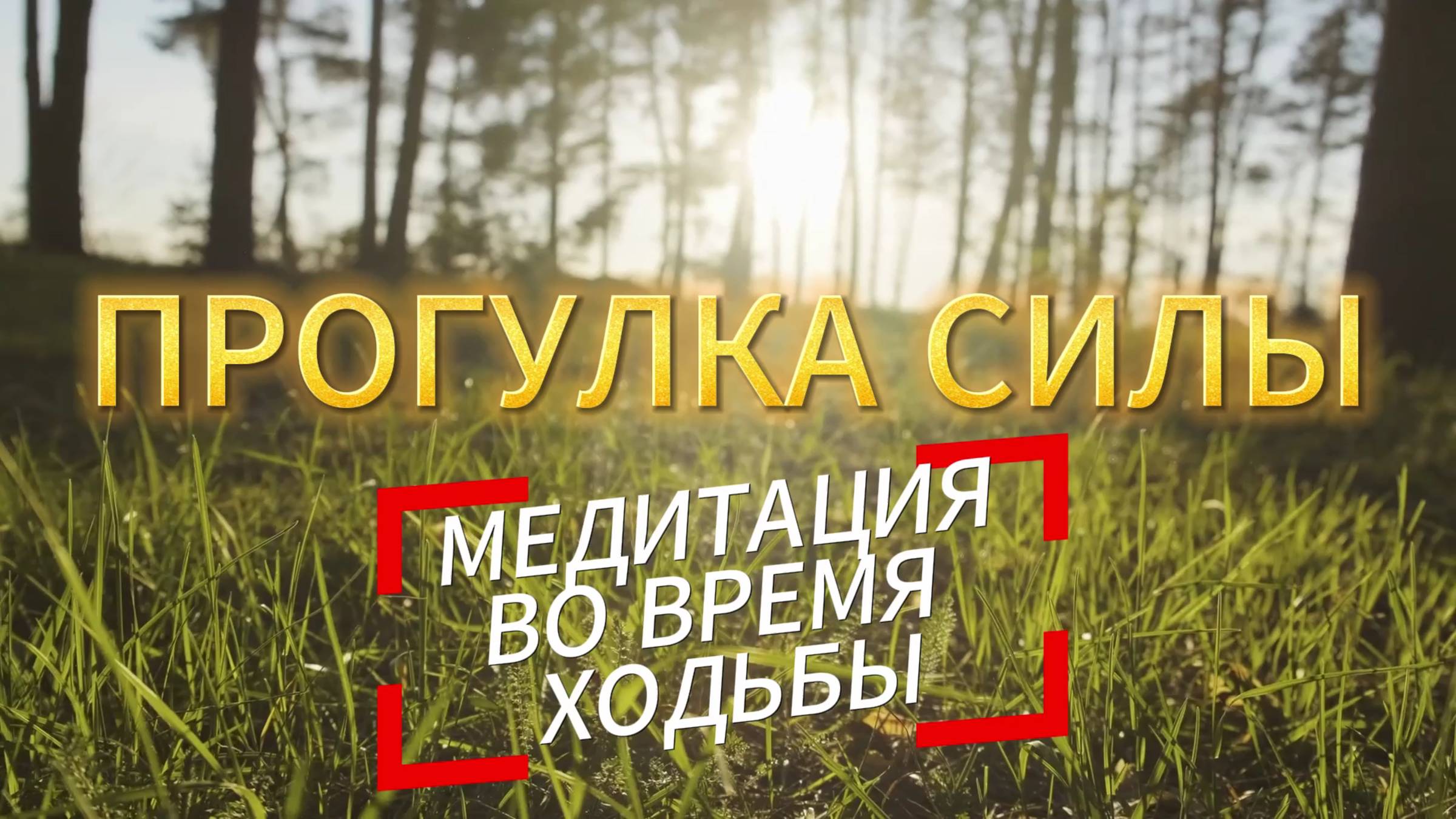 Прогулка силы. Медитация во время прогулки и движения