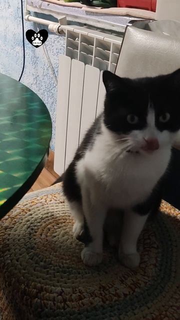 Поделись косточкой, всё равно не будешь грызть