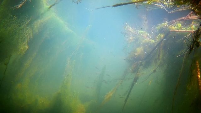 По ту сторону воды 3