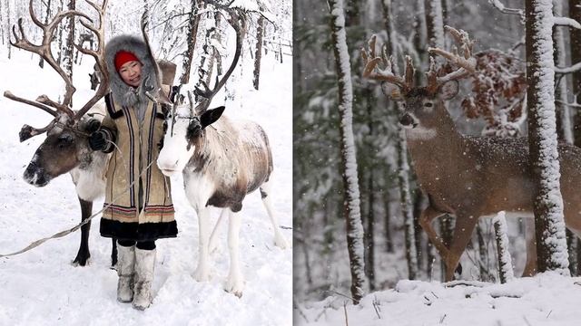 Сложные слова