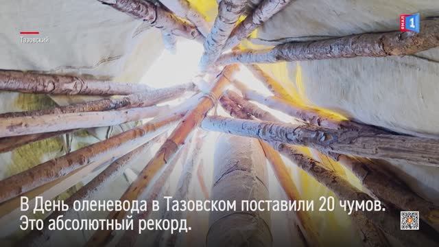 В День оленевода в Тазовском поставили 20 чумов