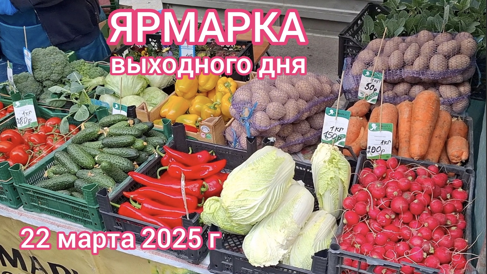 Краснодар - Ярмарка выходного дня на ул. Каляева - цены на продукты - 22 марта 2025 г.