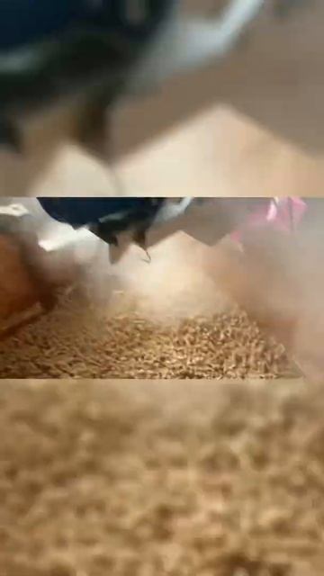 Экструдер для вкусного и красивого корма