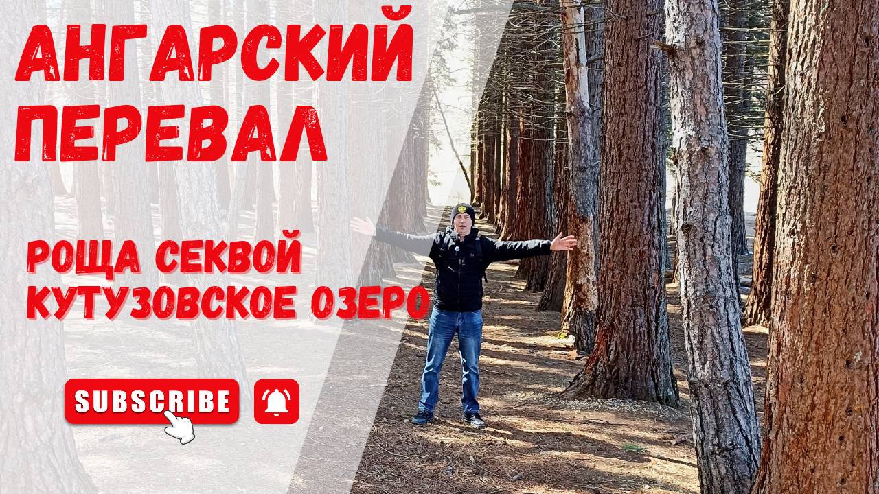 Ангарский перевал. Роща секвой и Кутузовское озеро на плато Чатыр-Дага. Крым.