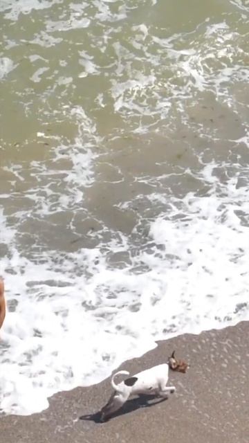 КАК В НОВОМ ГОДУ НЕ ТЕРЯТЬ СВЯЗЬ из-за ОБИД