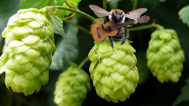 Мохнатый шмель