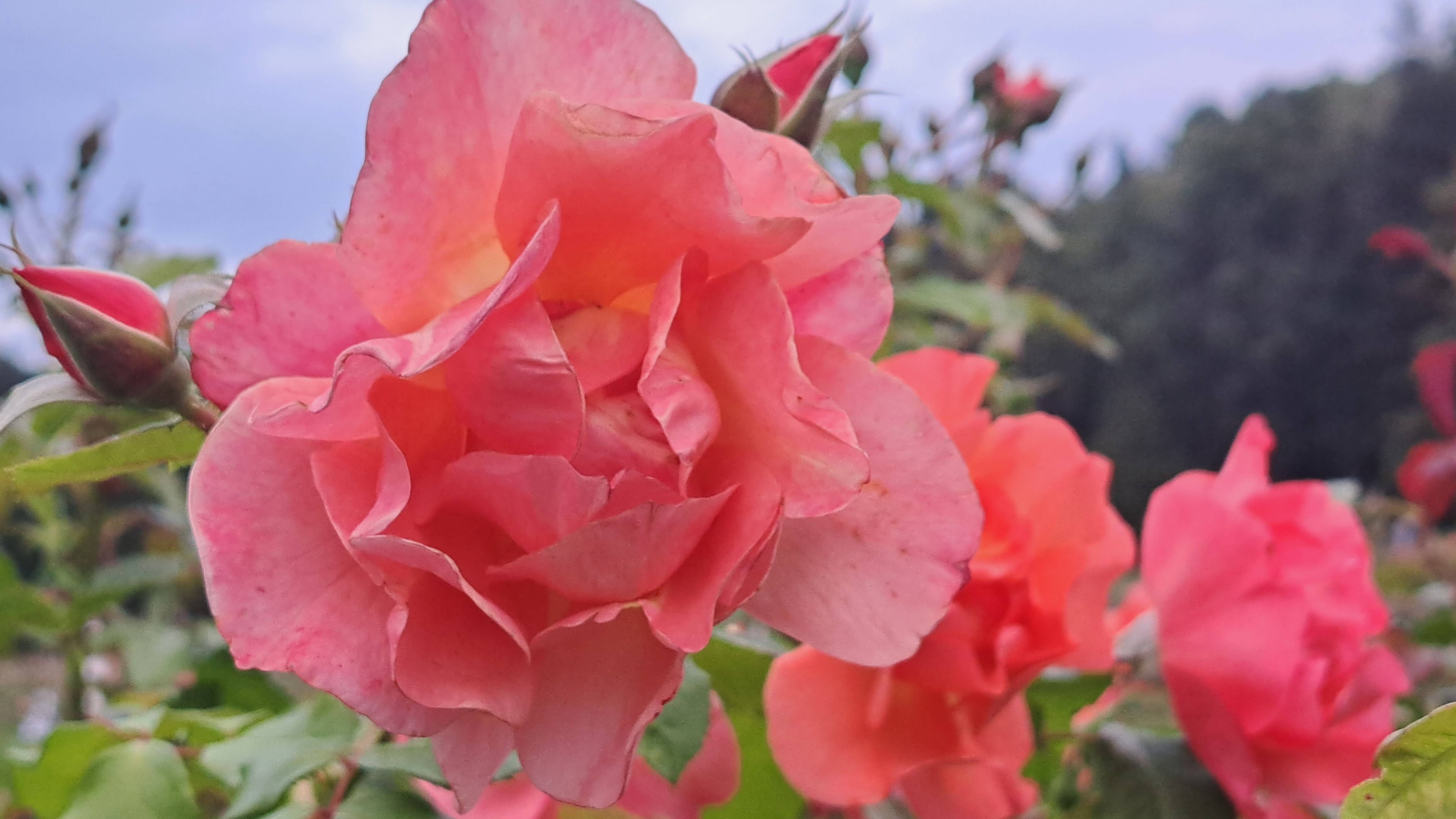 После родов - физическое восстановление женщины.