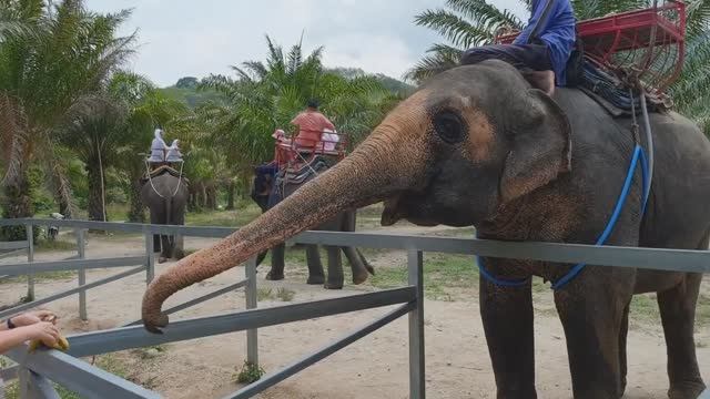Таиланд за 5 минут