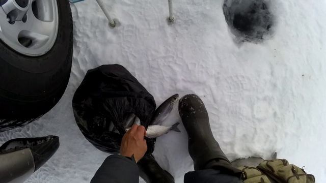 Новый фильм 15.03.2025. Рыбалка на Байкале. Часть 2. Продолжение следует...