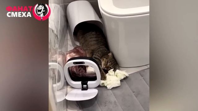 Смешная подборка приколов, смеха, юмора