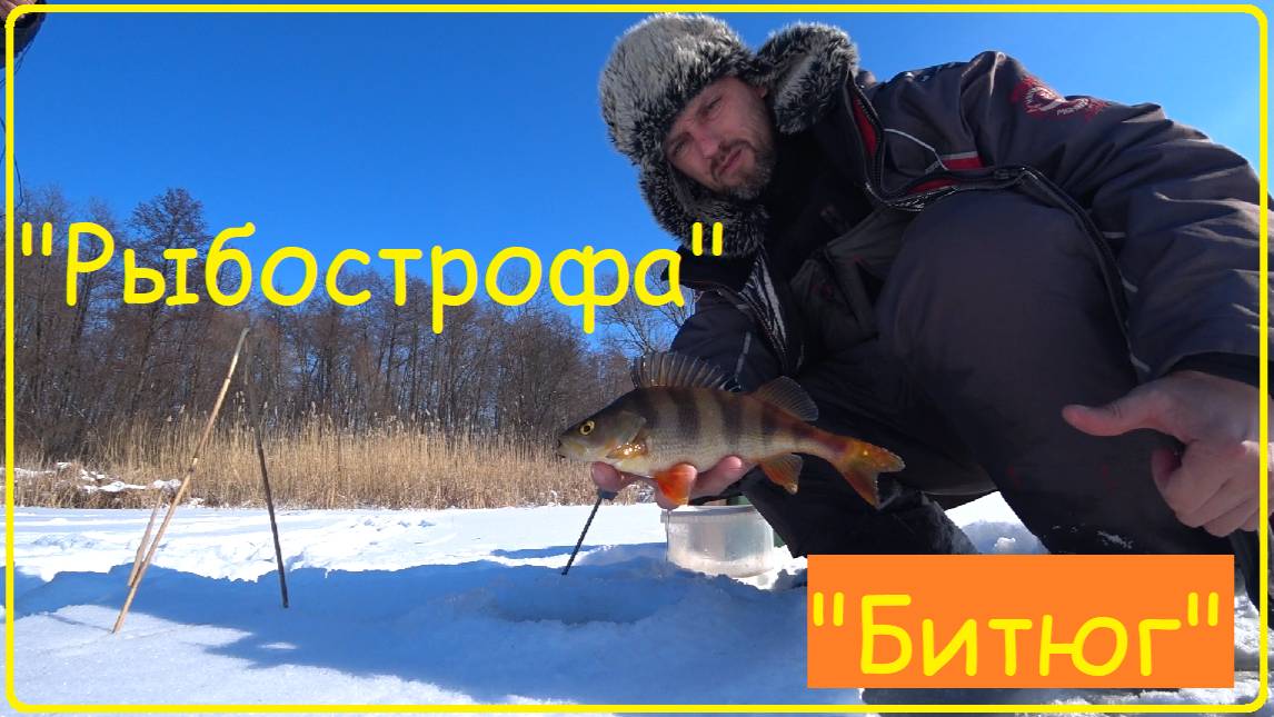 "Рыбострофа" Две части.