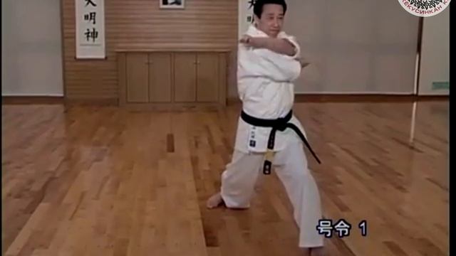 Гэкисай-шо (сё)