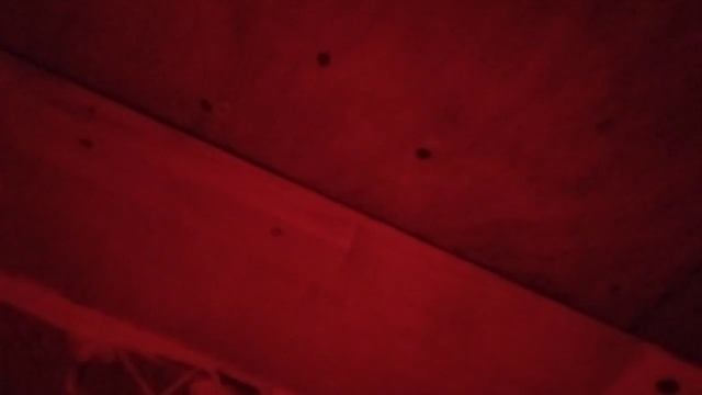 Выставка пчёл 200325