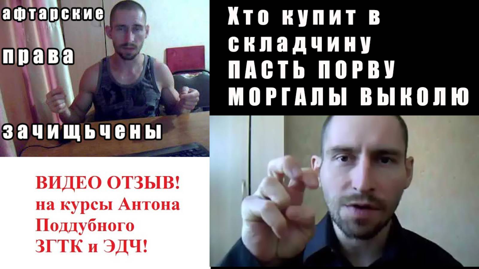 ЗГТК Антона Поддубного. Практические занятия БЕСПЛАТНО! Эзотерика для Чайников