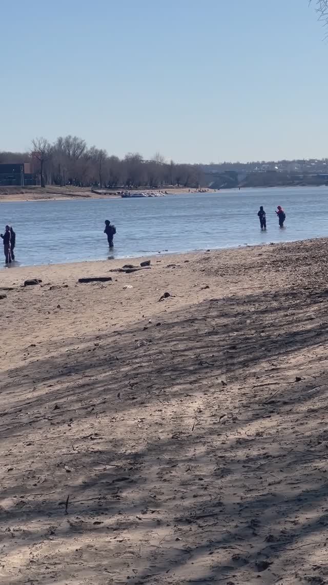 Весенний ДАМ Фест (DAM Fest) -2025!