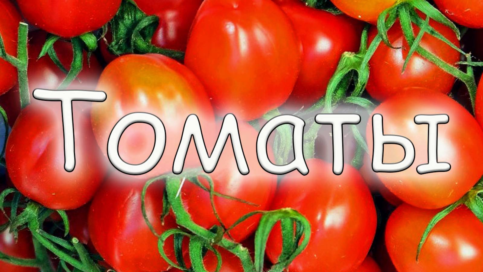 Томаты. Простые и полезные советы по выращиванию и уходу. Гибриды, сорта.