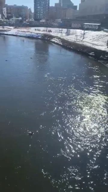 Такая красота.....😘