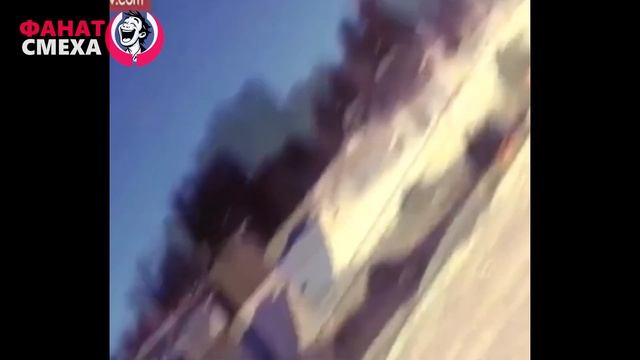 ЮМОР подборка прикольных животных из 2015-го