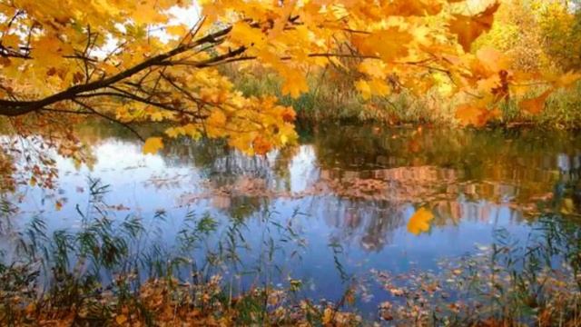 НЕ ИЩИ МЕНЯ В ОСЕННЕМ ЛИСТОПАДЕ