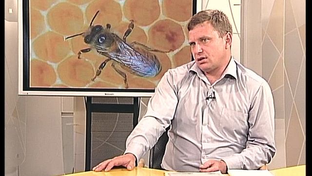 Открытый микрофон: программа РЕН-ТВ Астрахань, Лейхнер, 21.09.2012