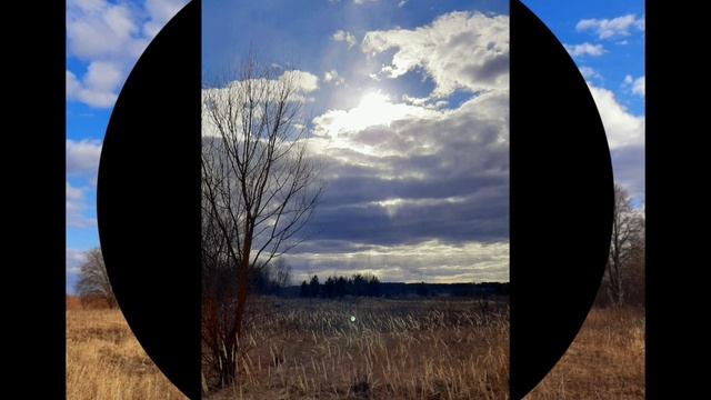 22-03-2025 Погода , конечно весенняя, но ветер сильный и холодный. Распустилась верба!