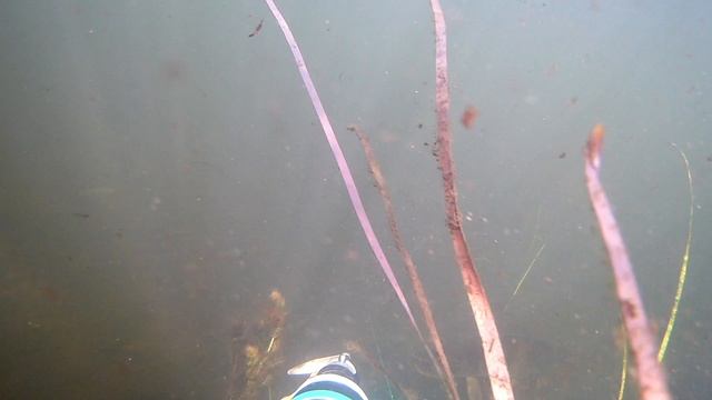 По ту сторону воды 5