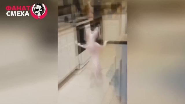 РЖУ НЕ МОГУ СМЕШНЫЕ ЖИВОТНЫЕ , КОТЫ СОБАКИ И ДРУГИЕ, ЮМОР, ПрИкОл, СМЕХ