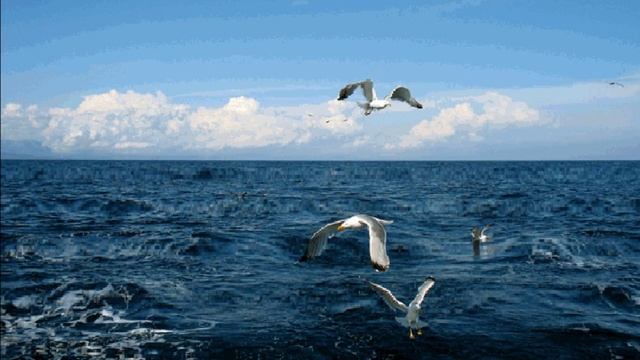 Альбом "Джазовые зарисовки 2" (видео)