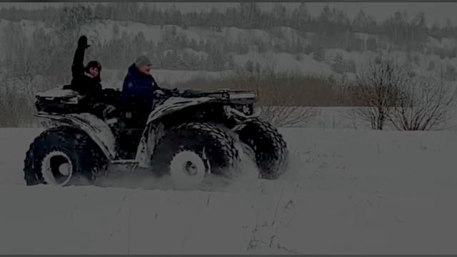 Сокол Про + Петров + друзья