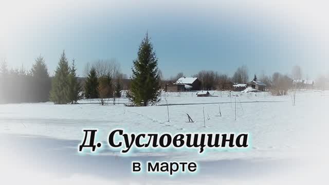 Деревня Сусловщина в марте.mp4