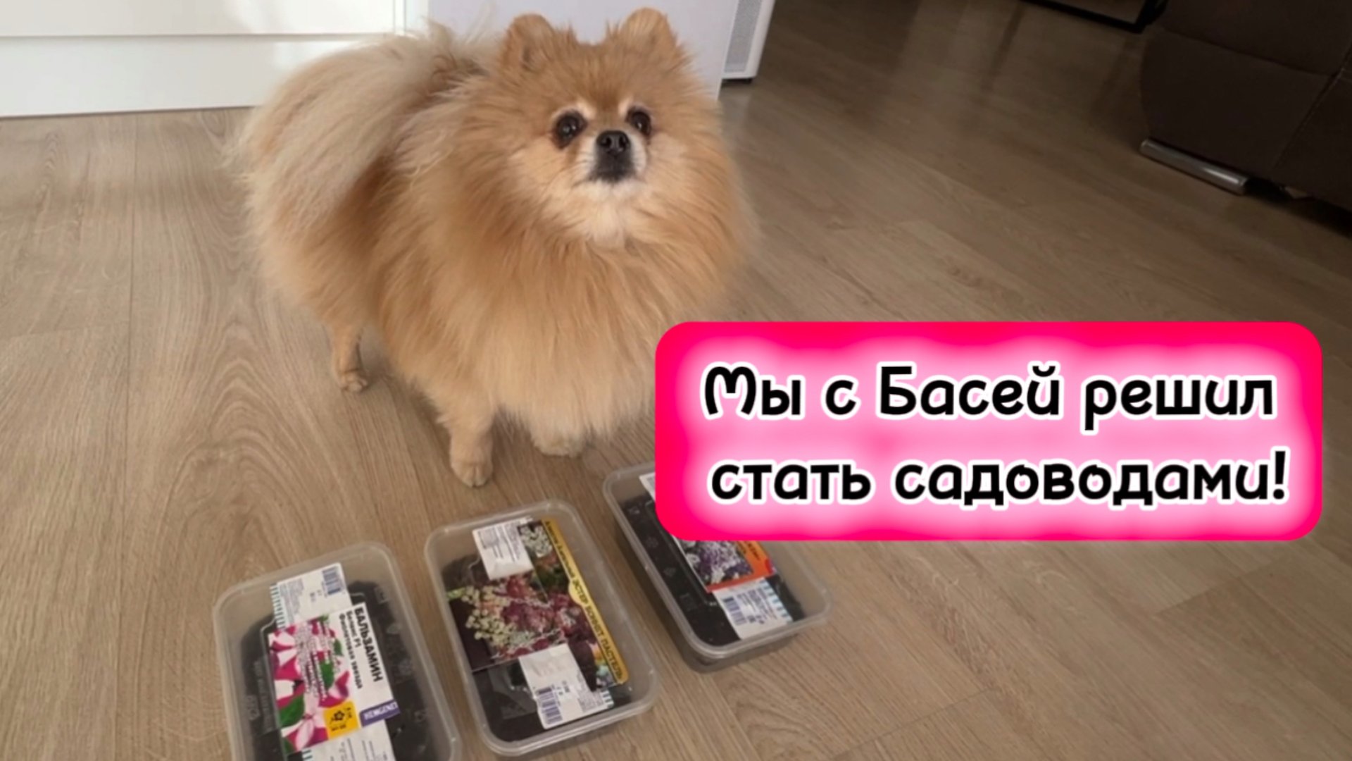 Мы с Басей решили стать садоводами!