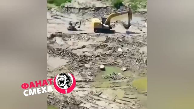 Юмор подборка приколов