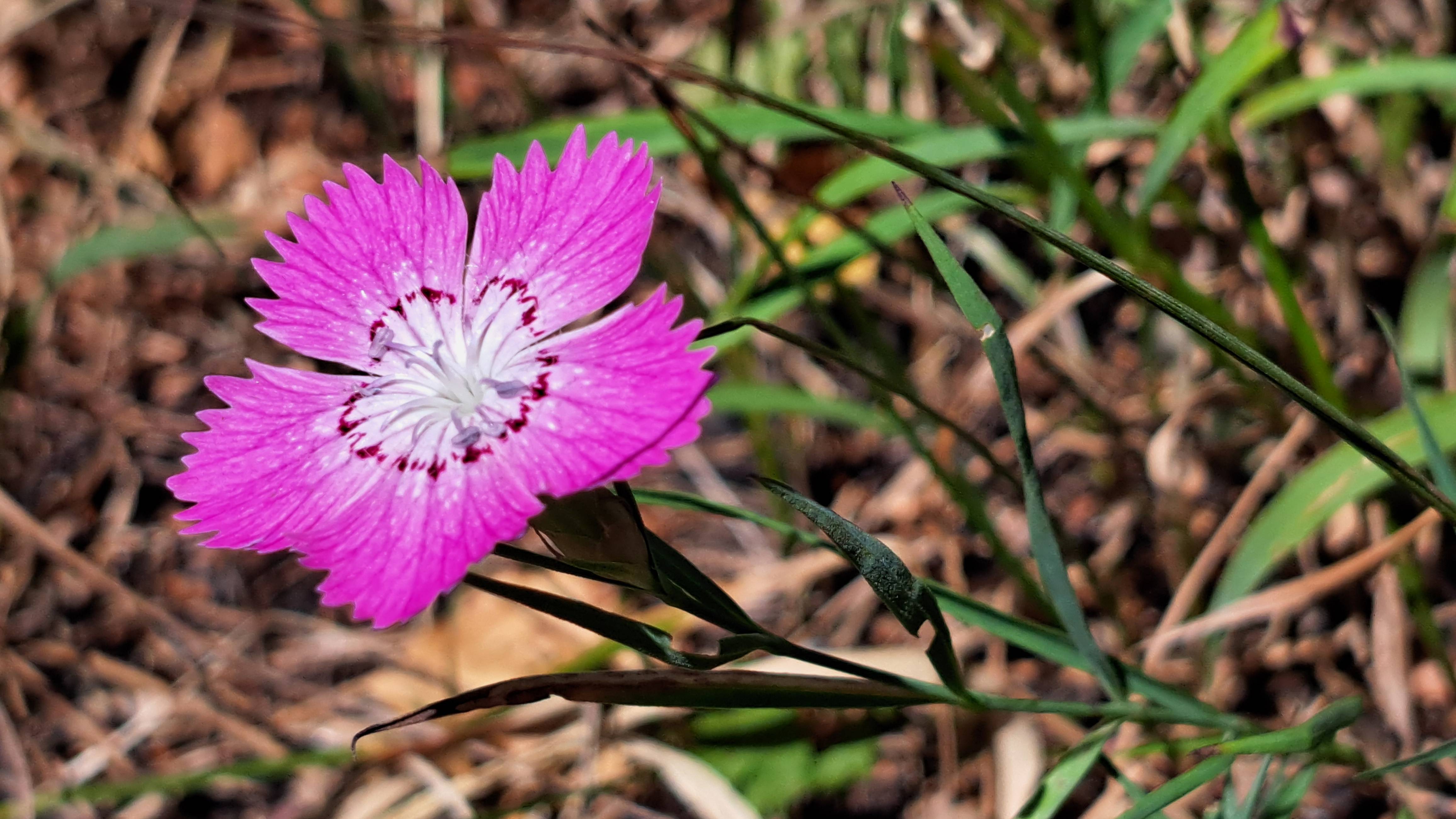 Особенности психоэмоционального состояния женщины после родов.