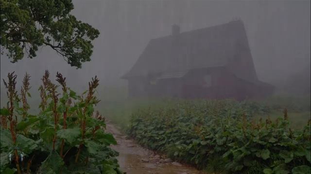 Расслабляющий дождь для сна.