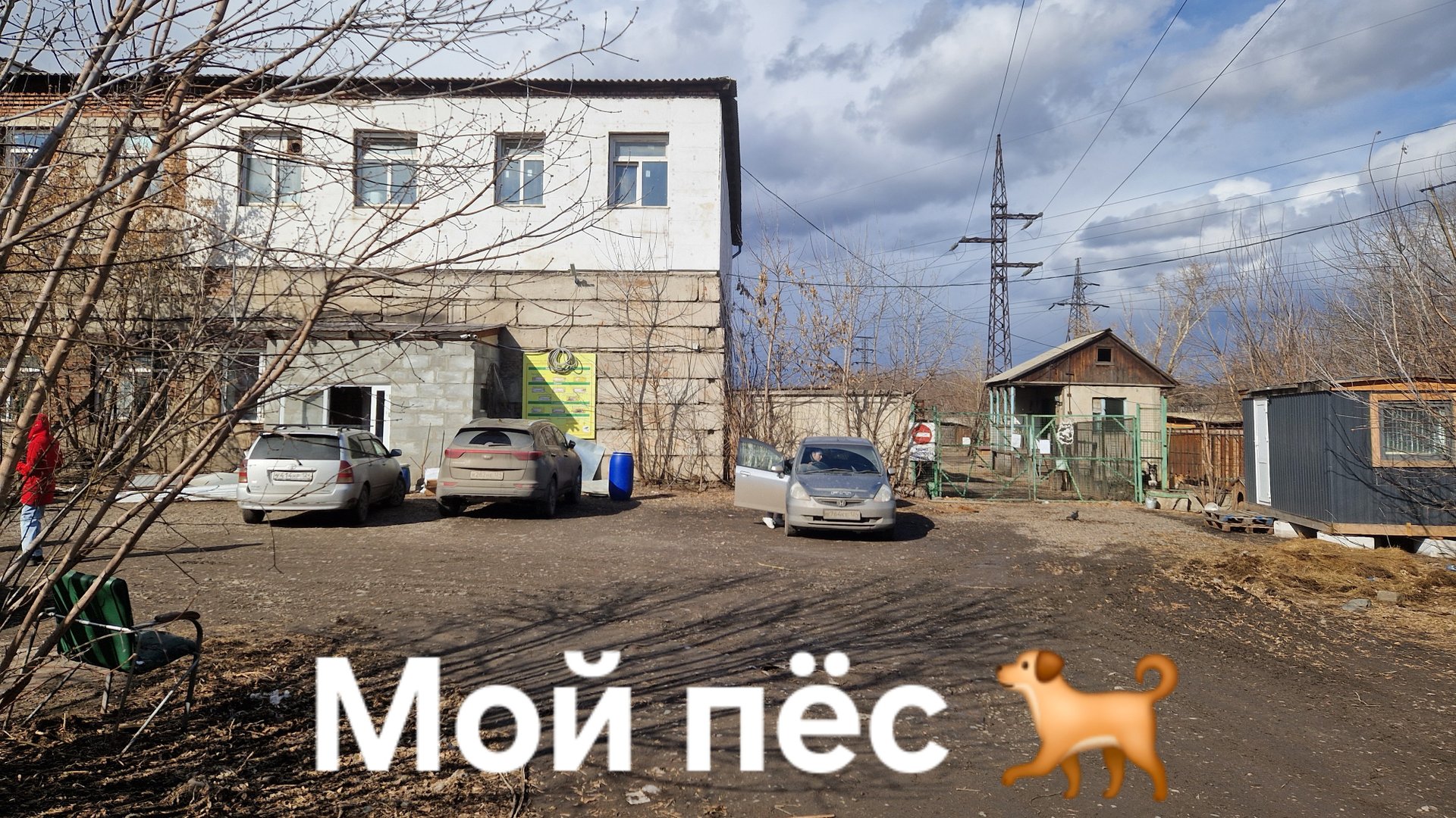 Приют для животных "Мой пёс" города Красноярска. Везём корм и гуляем с собакой.