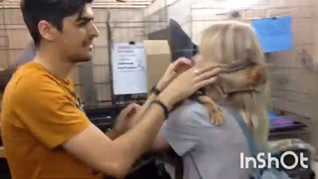 Бенкси отправляется домой! 30.07.2027г.