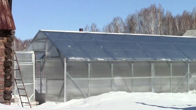 Муромцево 23 марта 2025г Весна день год кормит виноград