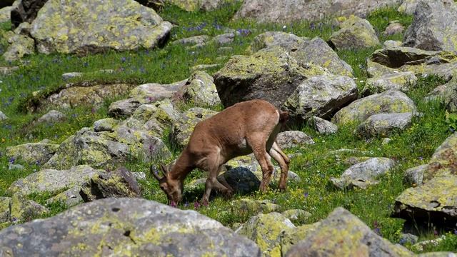 Релакс. Красота природы Кавказа
