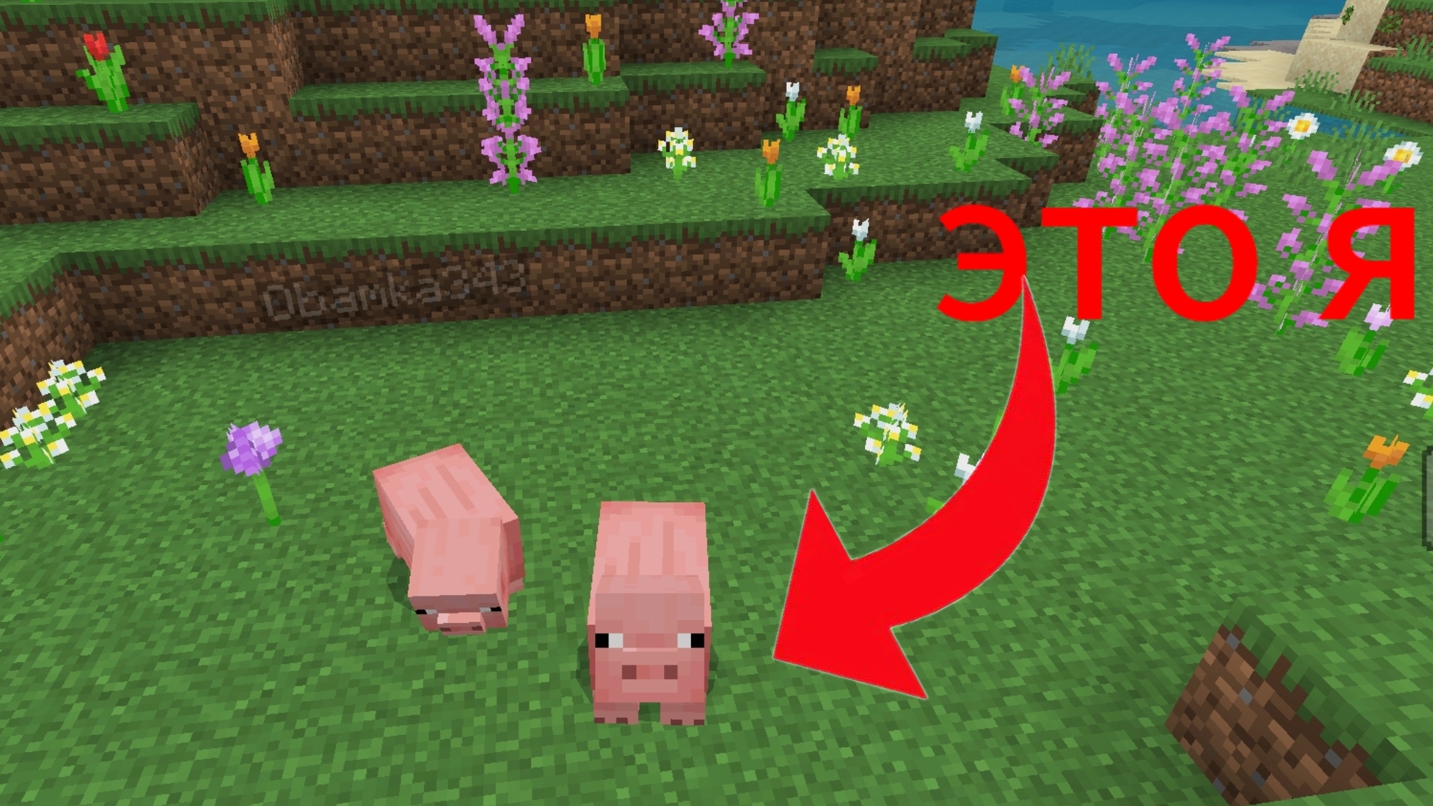 Майнкрафт но мы с другом свиньи и нам нельзя превратится в игроков!