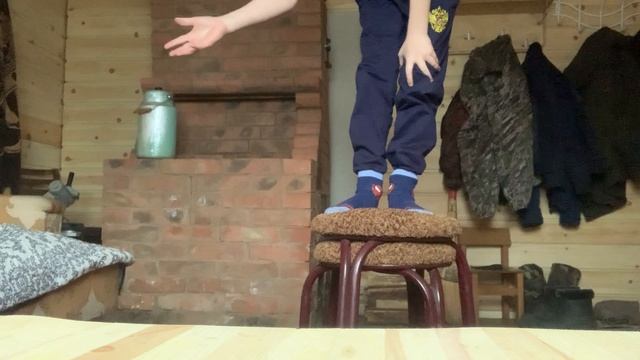 Домашний цирк